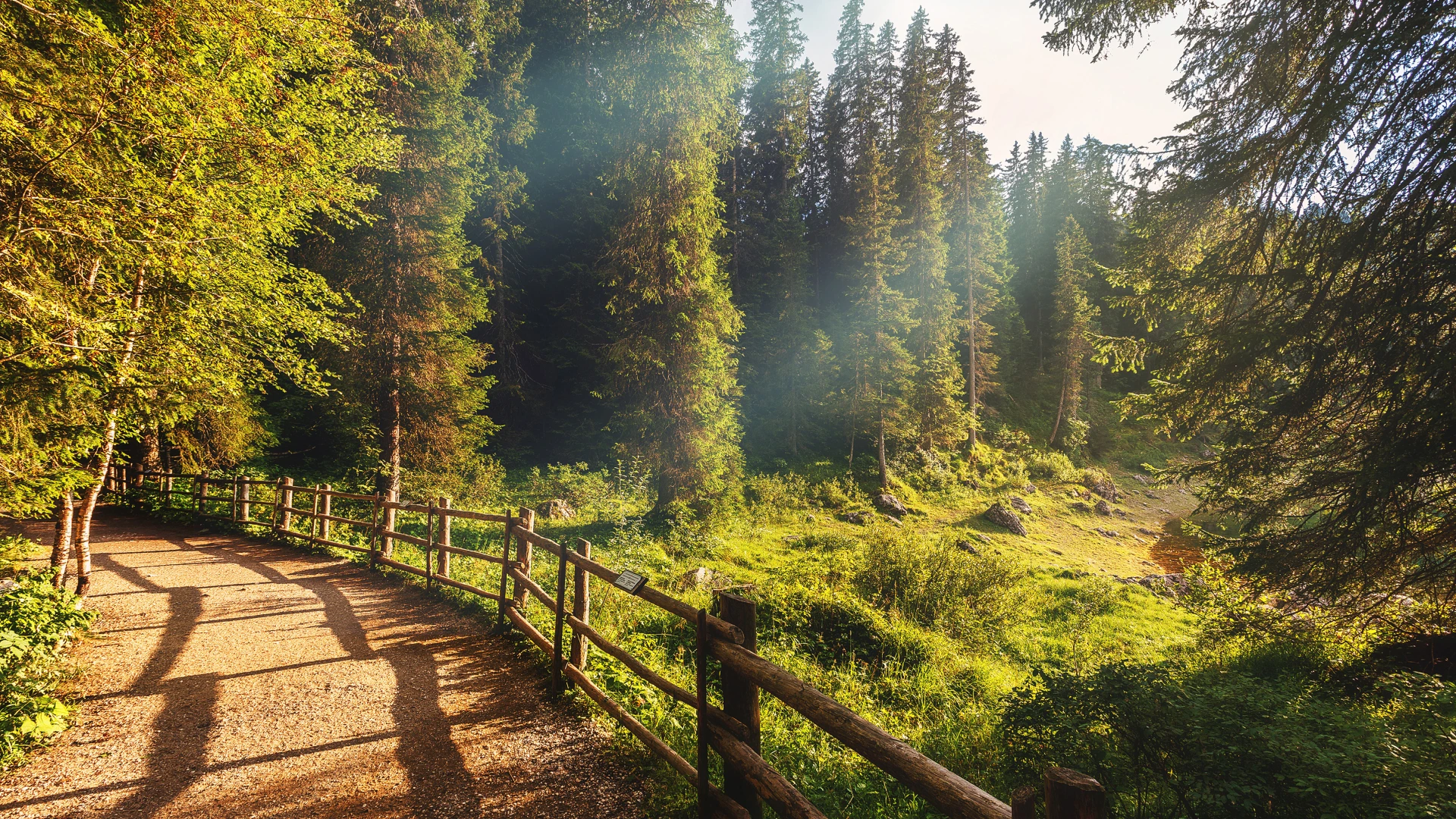 Ceylan Splend’or - Mountain Is Our Home