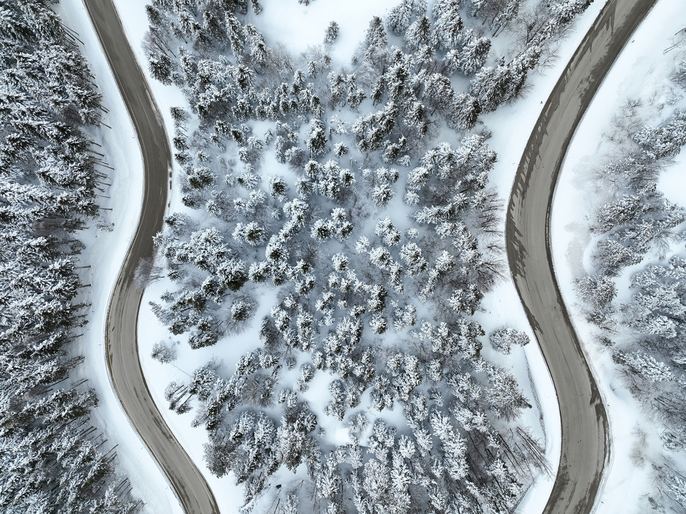 Ceylan Splend’or - Mountain Is Our Home